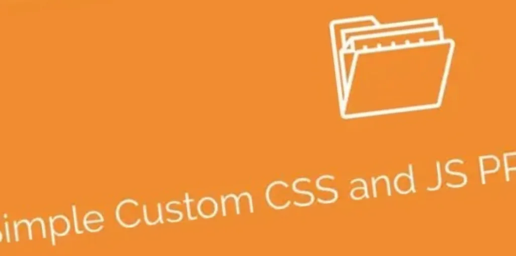 Nulled Simple Custom CSS and JS PRO (v4.41) Free Download