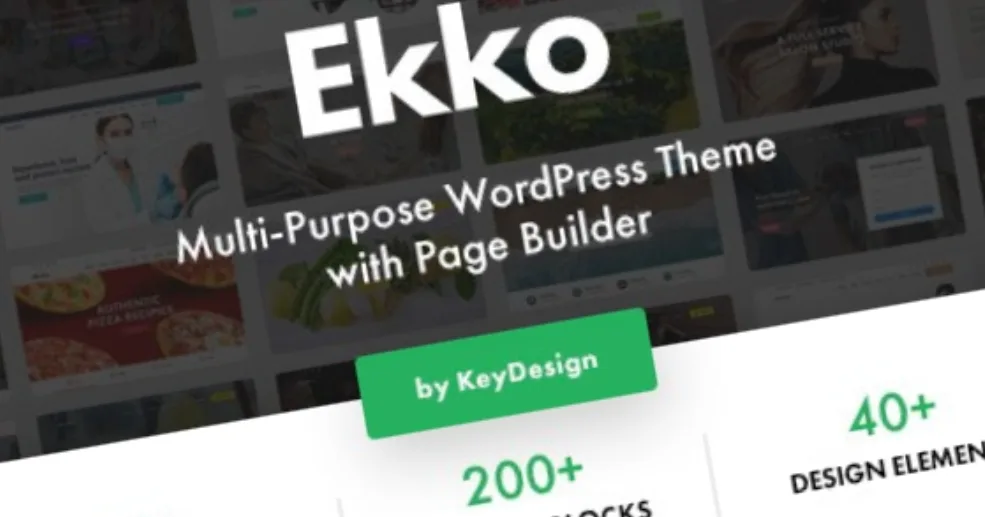 Nulled Ekko Theme (v5.4) Free Download